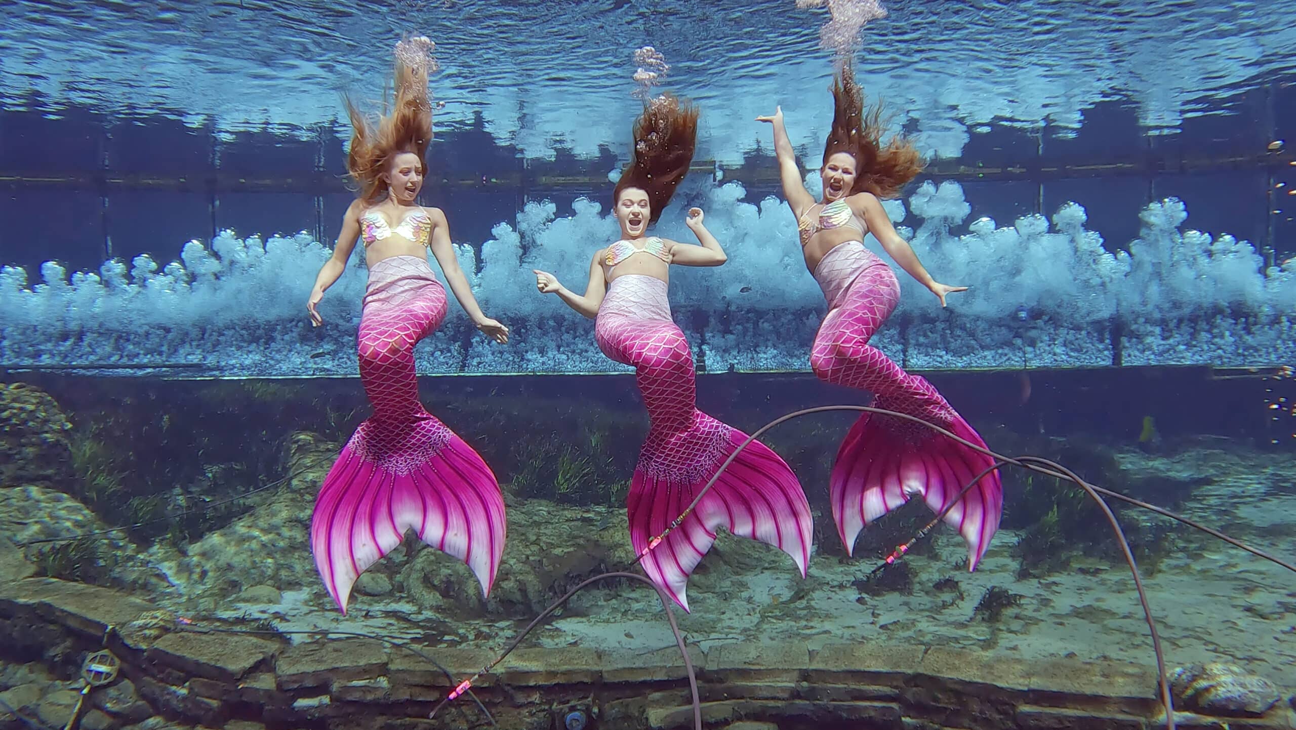 Florida’s Adventure Coast